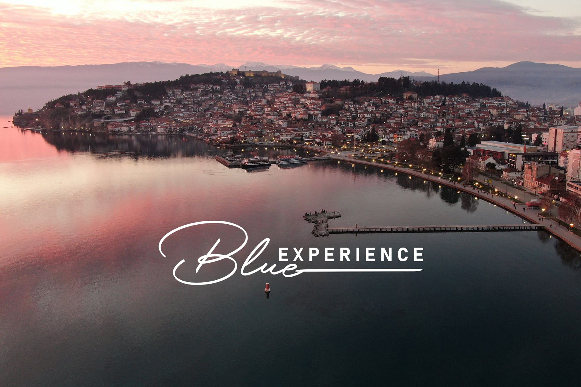 Home - Blue Experience